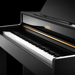 DONNER DDP-400 (Black) - Premium Digital Piano – Cristofori Music