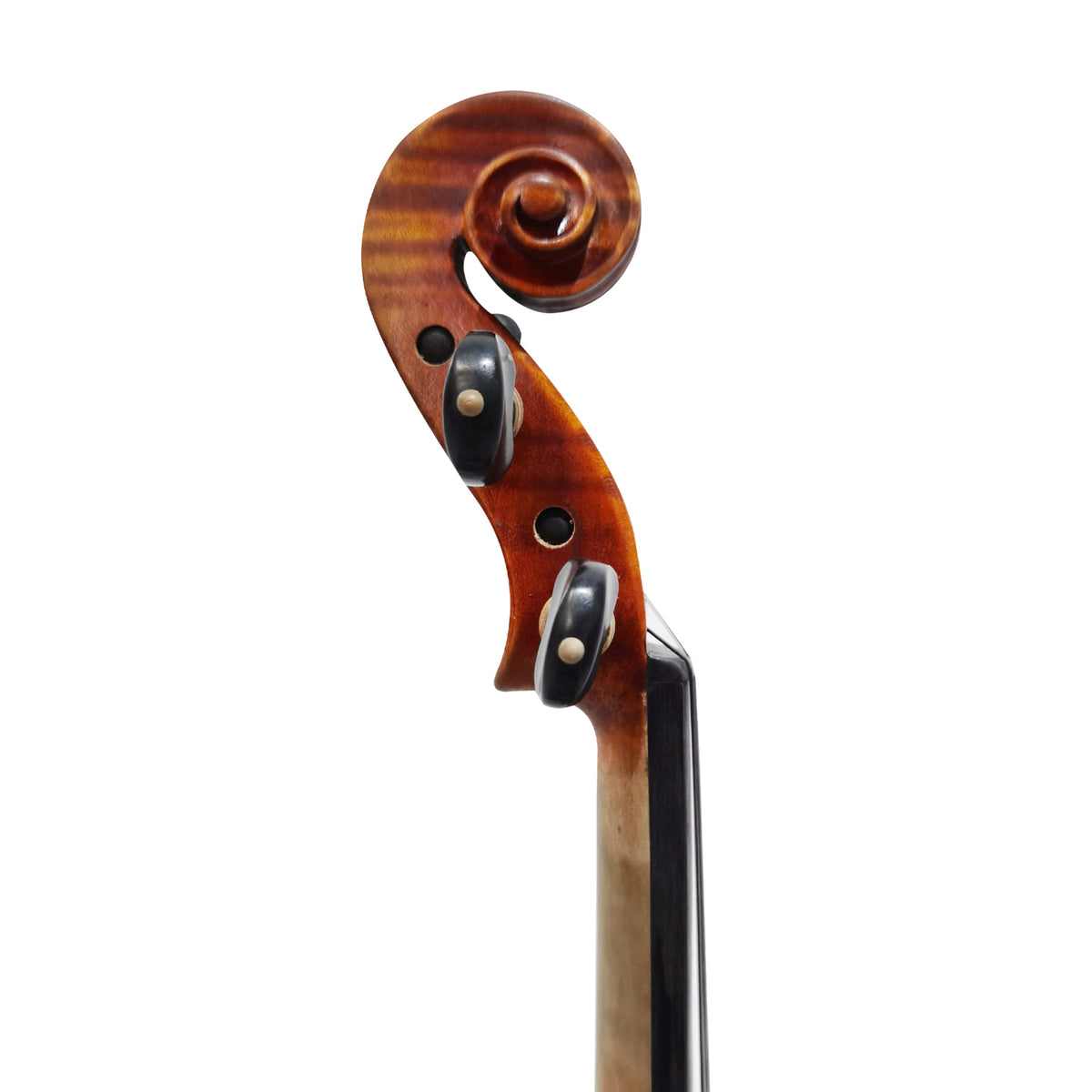 Violin - PASSIONE 44-A – Cristofori Music